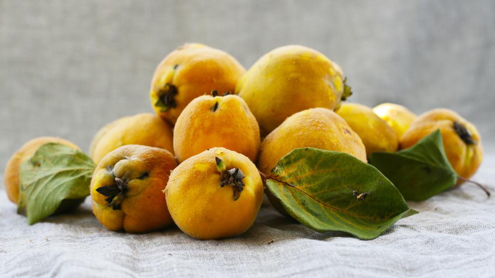 Quitten: Alles Wissenswerte rund um das Saisonobst